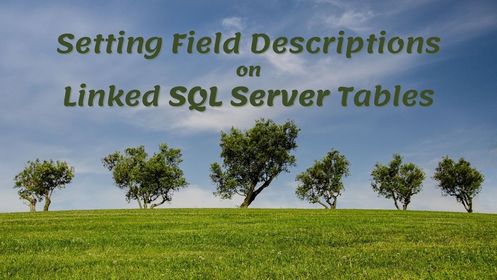 Set Field Descriptions on Linked SQL Server tables